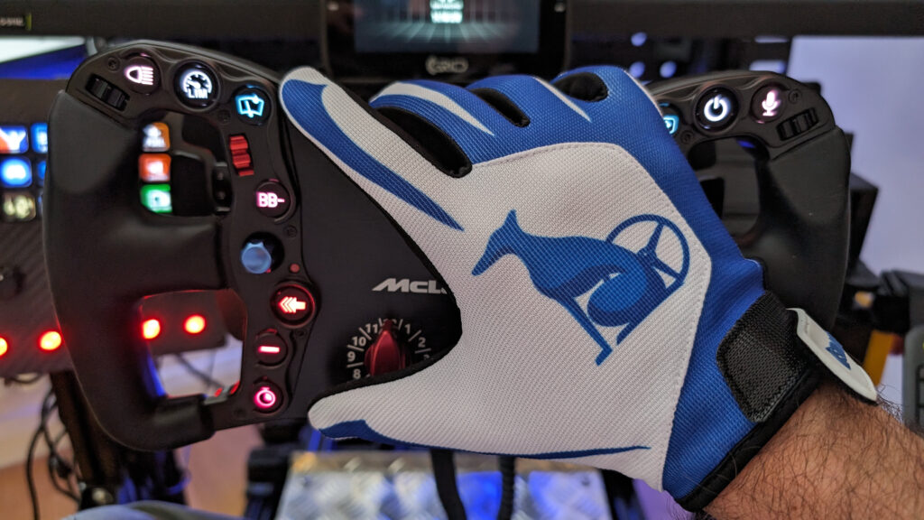 The Best Sim Racing Gloves Buyer's Guide: 2025 Edition
