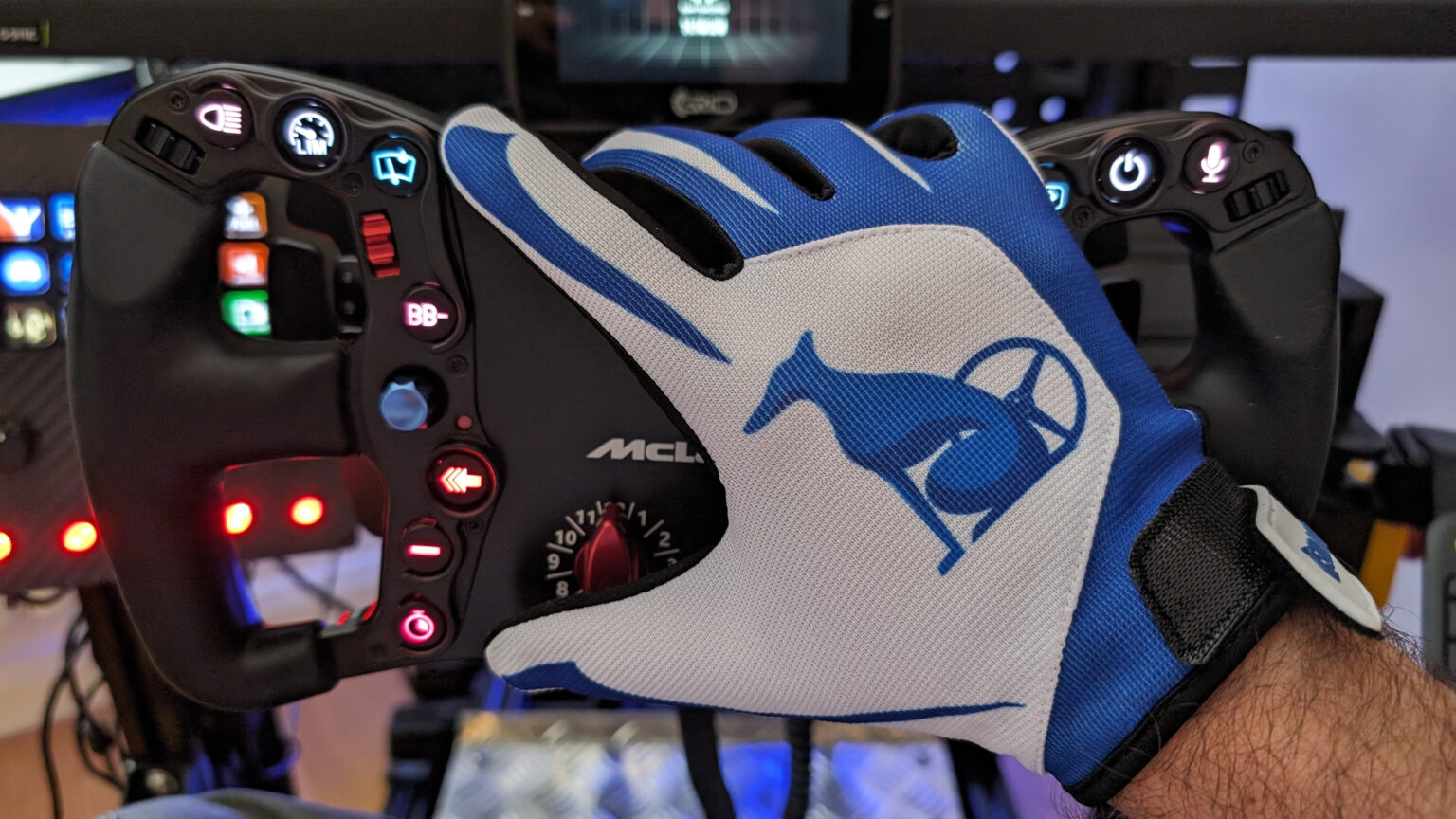 The Best Sim Racing Gloves Buyer's Guide: 2025 Edition