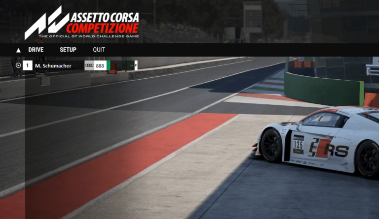 Assetto Corsa Competizione: Beginner's Setup Guide